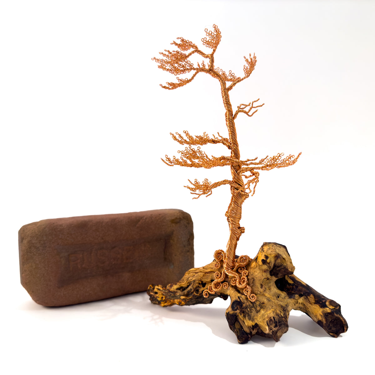 Lingering – Due North Trees