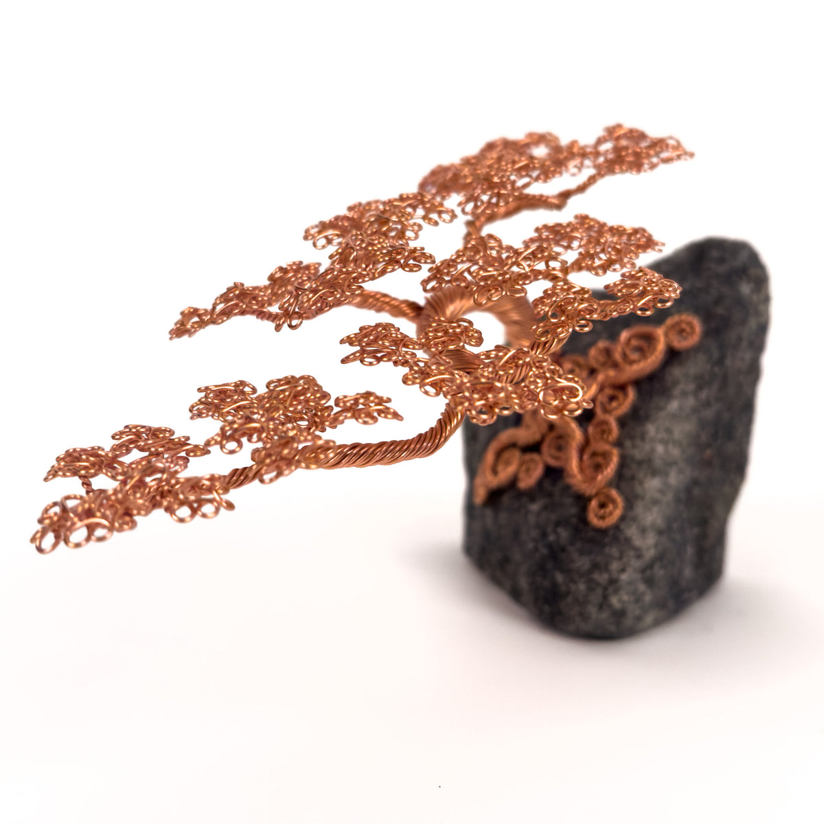 Savvy – Due North Trees