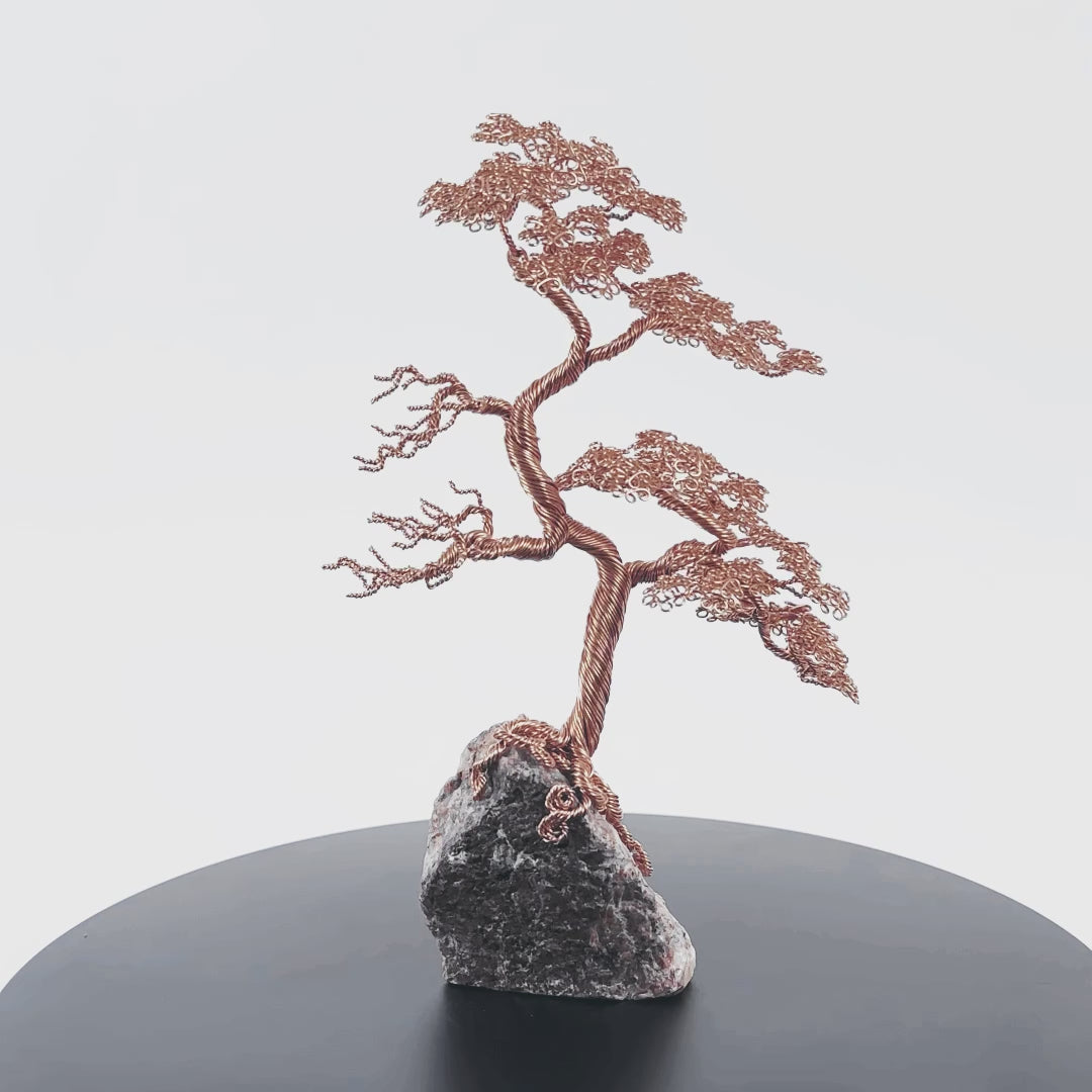 Enduring – Due North Trees